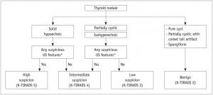 K-TI-RADS – Abdominal Imaging Resources